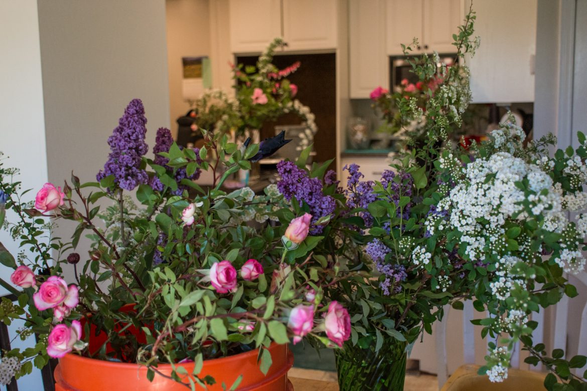 Lessons Learned From My First Year Flower Farming - I Dream of Acres