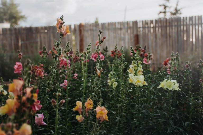 how-to-start-a-small-flower-farm-part-i-business-plan-site