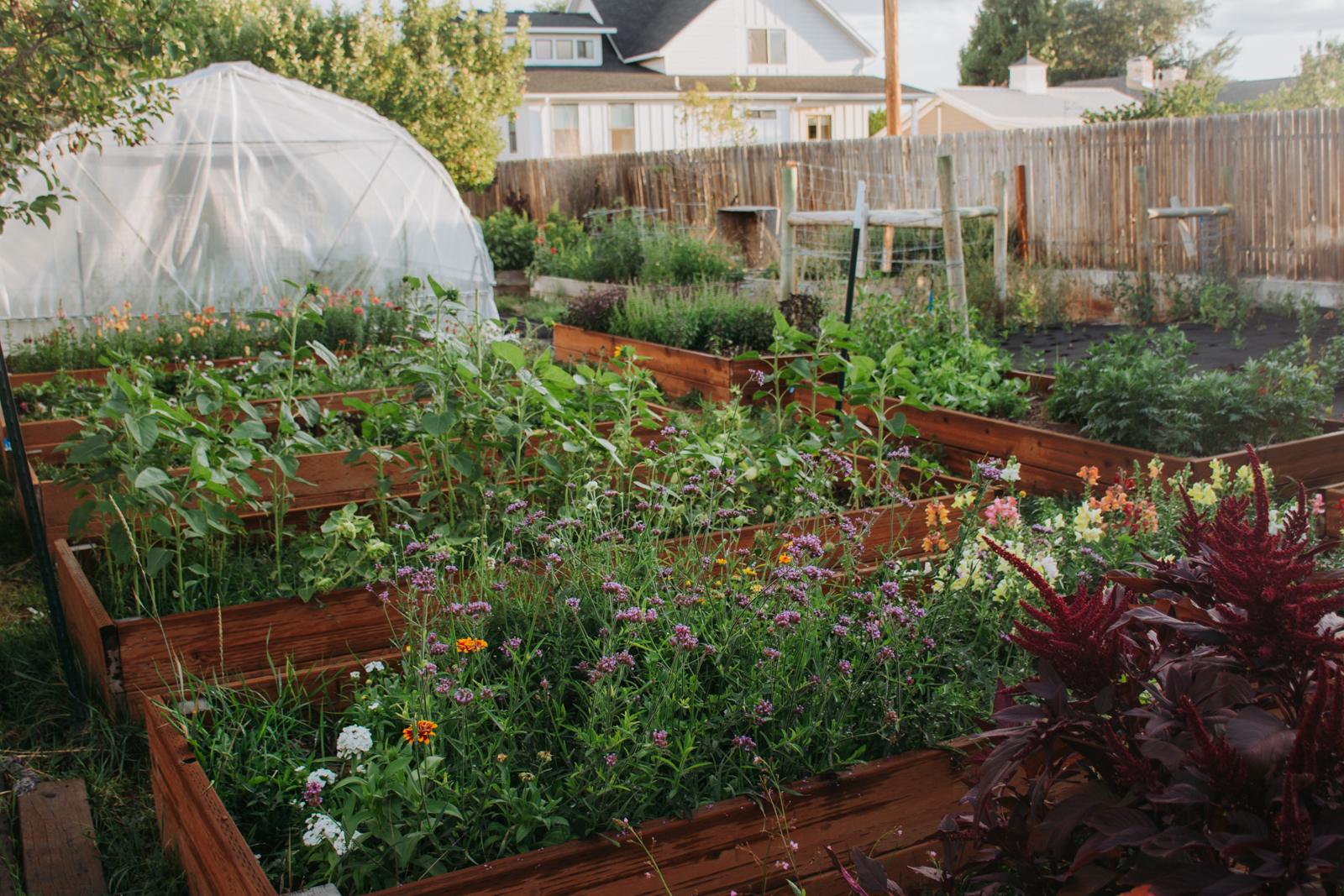 How To Start A Small Flower Farm Part I Business Plan Site 
