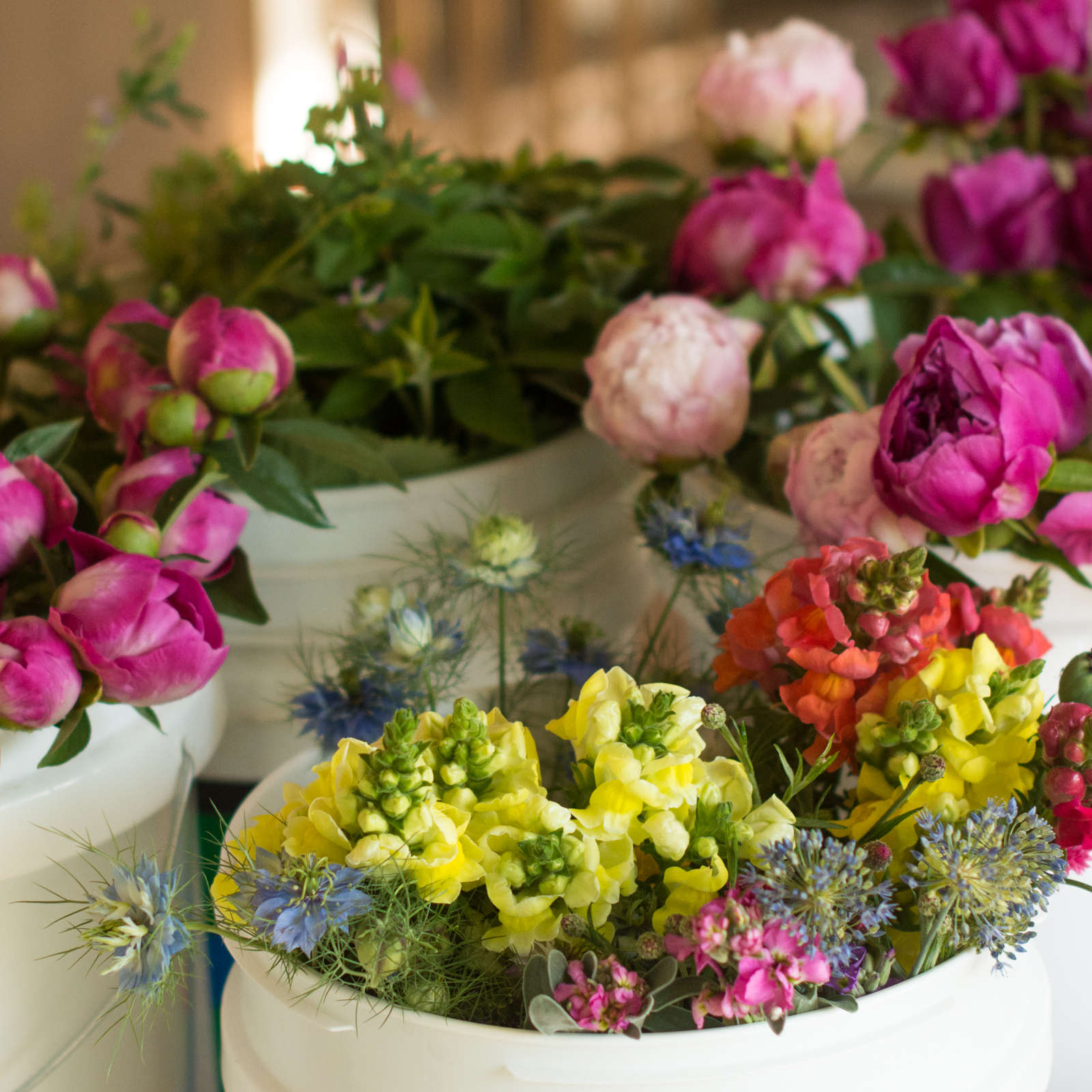 How to Start a Small Flower Farm [Part IV]: Harvesting + Arranging - I ...