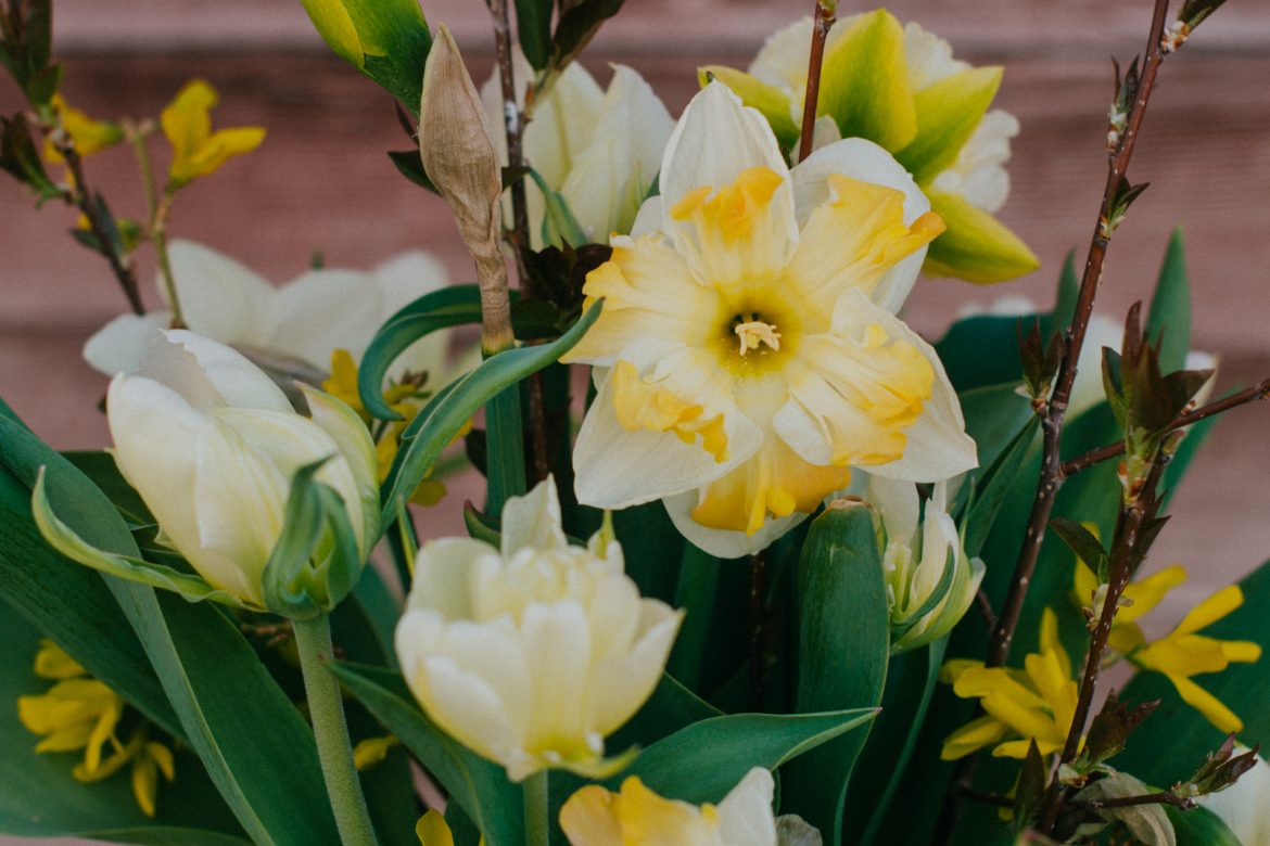 What's Blooming in Utah in April? - I Dream of Acres